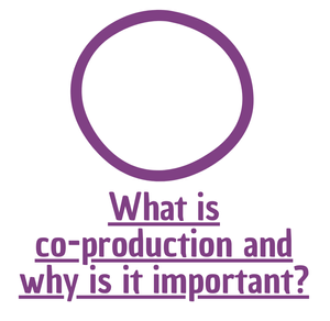 Guide - what is co-production? — Scottish Co-production Network