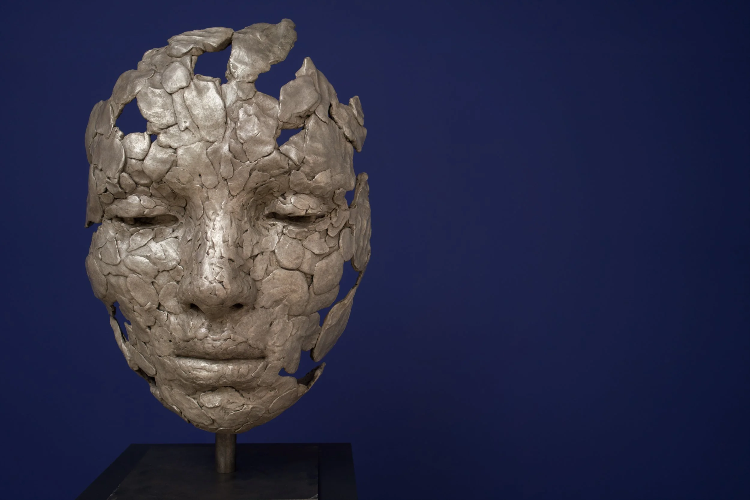 Lionel Smit Art Exhibition 2023 | Veil Collection | LIONEL SMIT