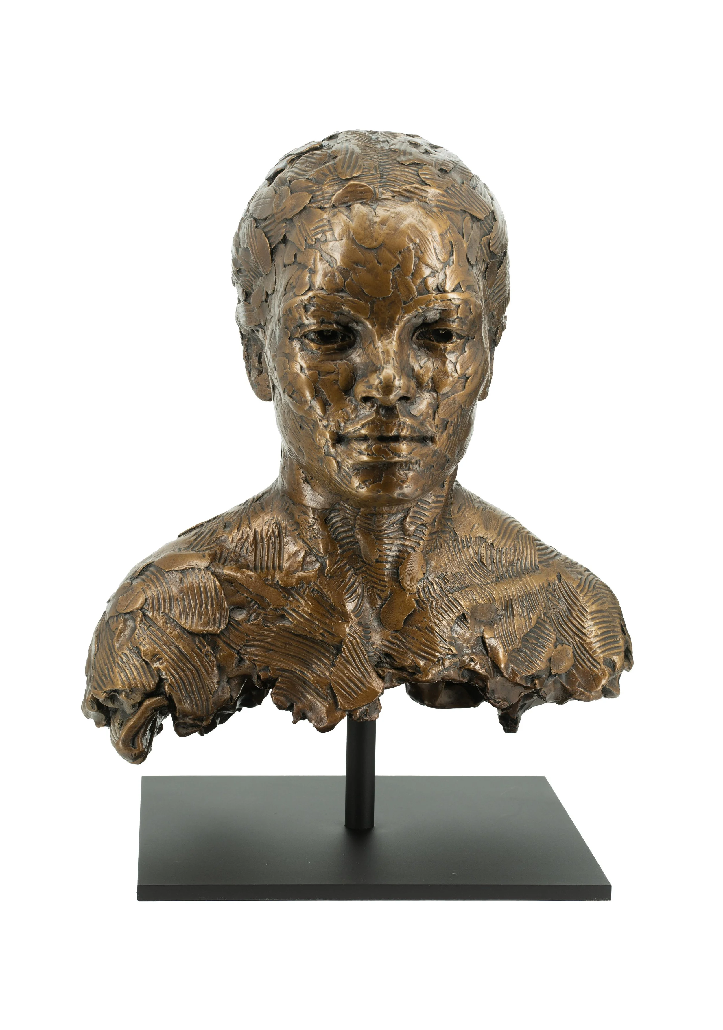 Irreversible 2024 | Art Exhibition | LIONEL SMIT