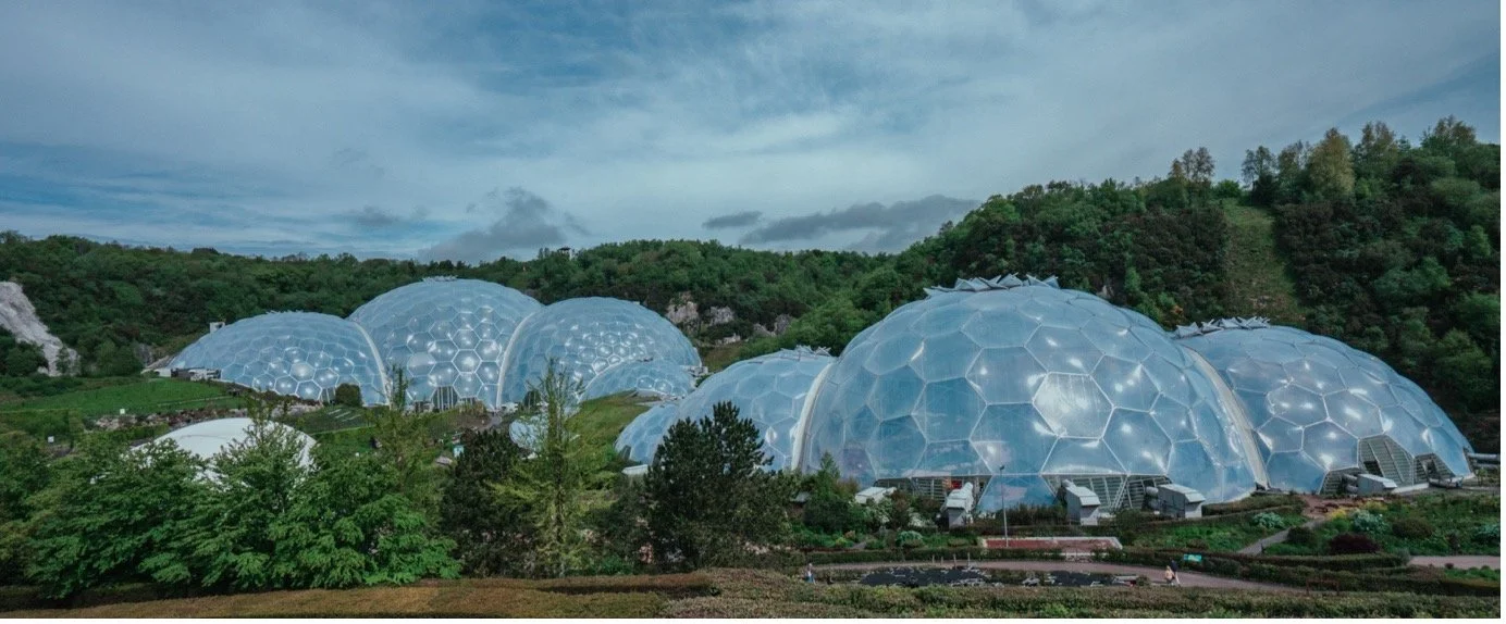 Where are businesses getting stuck on nature? — Sustainability Business ...