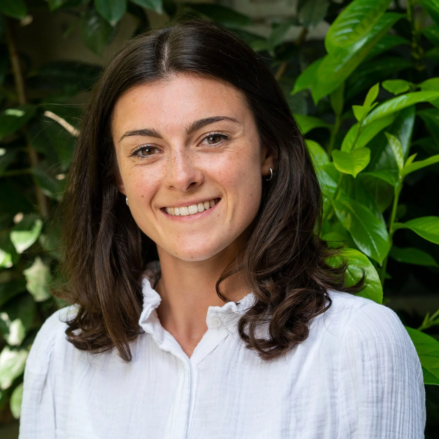 About — Sustainability Business Consultants – BRODIE