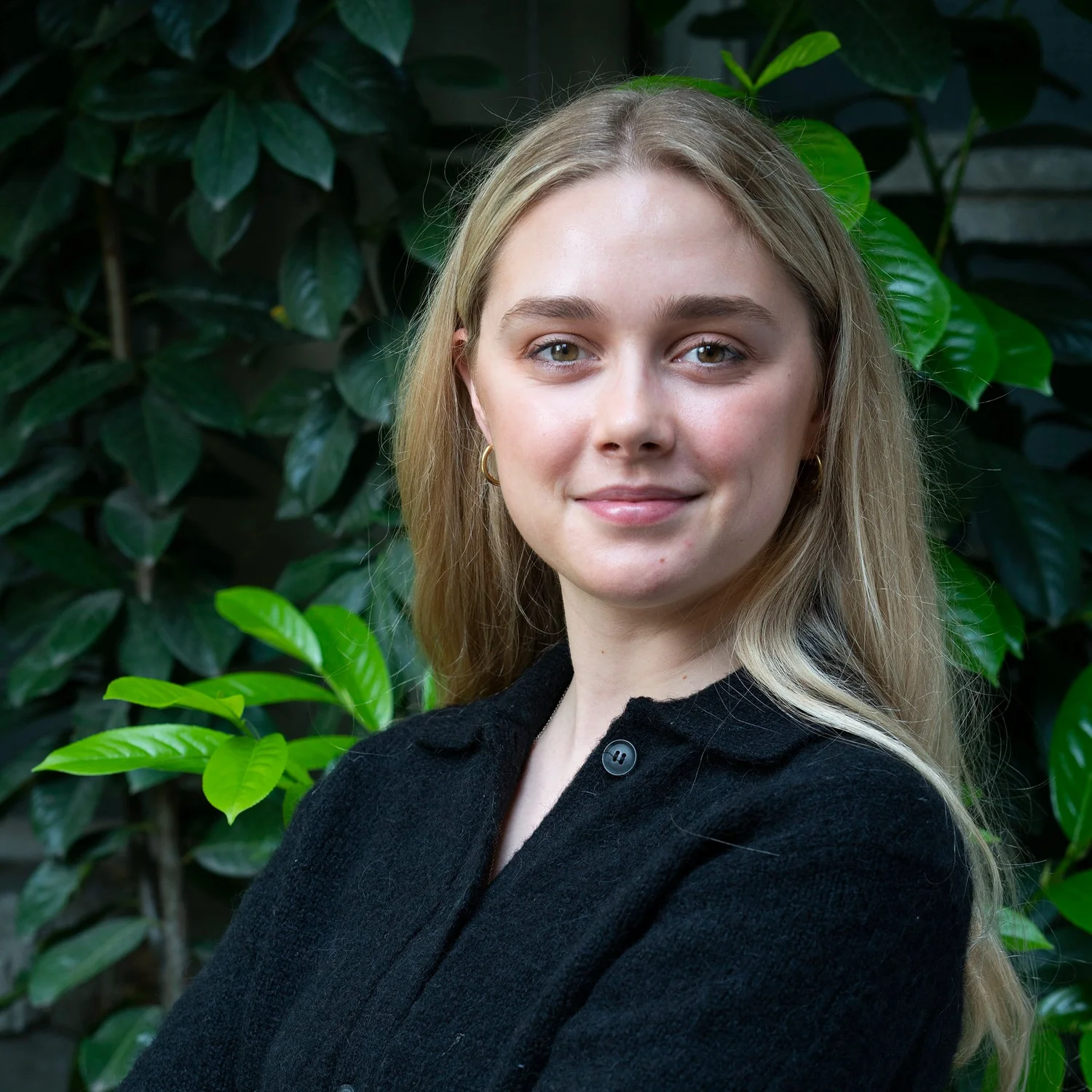 About — Sustainability Business Consultants – BRODIE