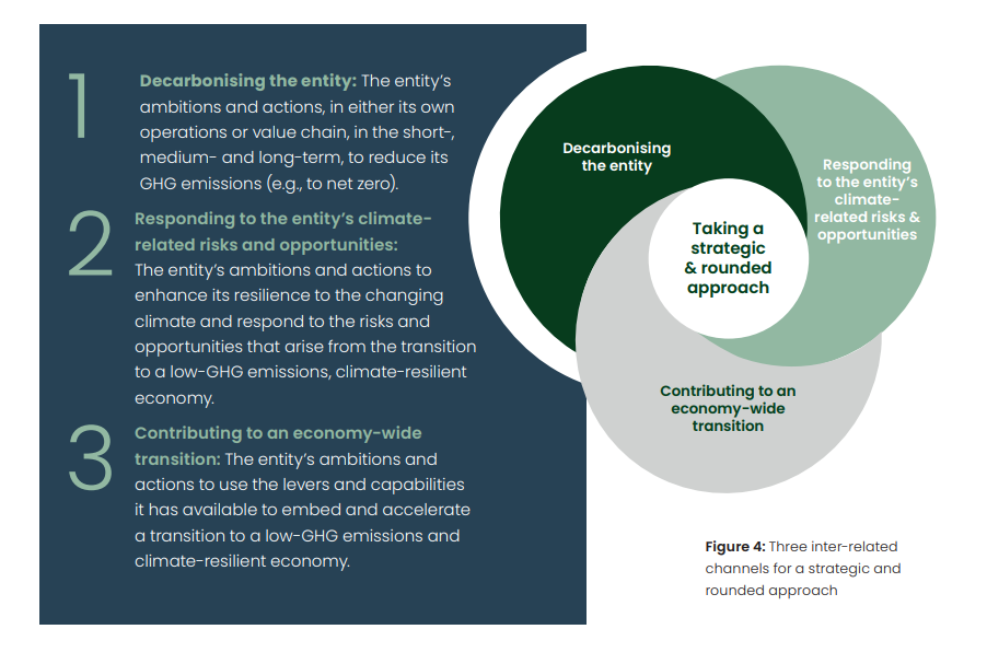 Climate Strategy: Decarbonisation, Climate Risk and Transition Planning ...