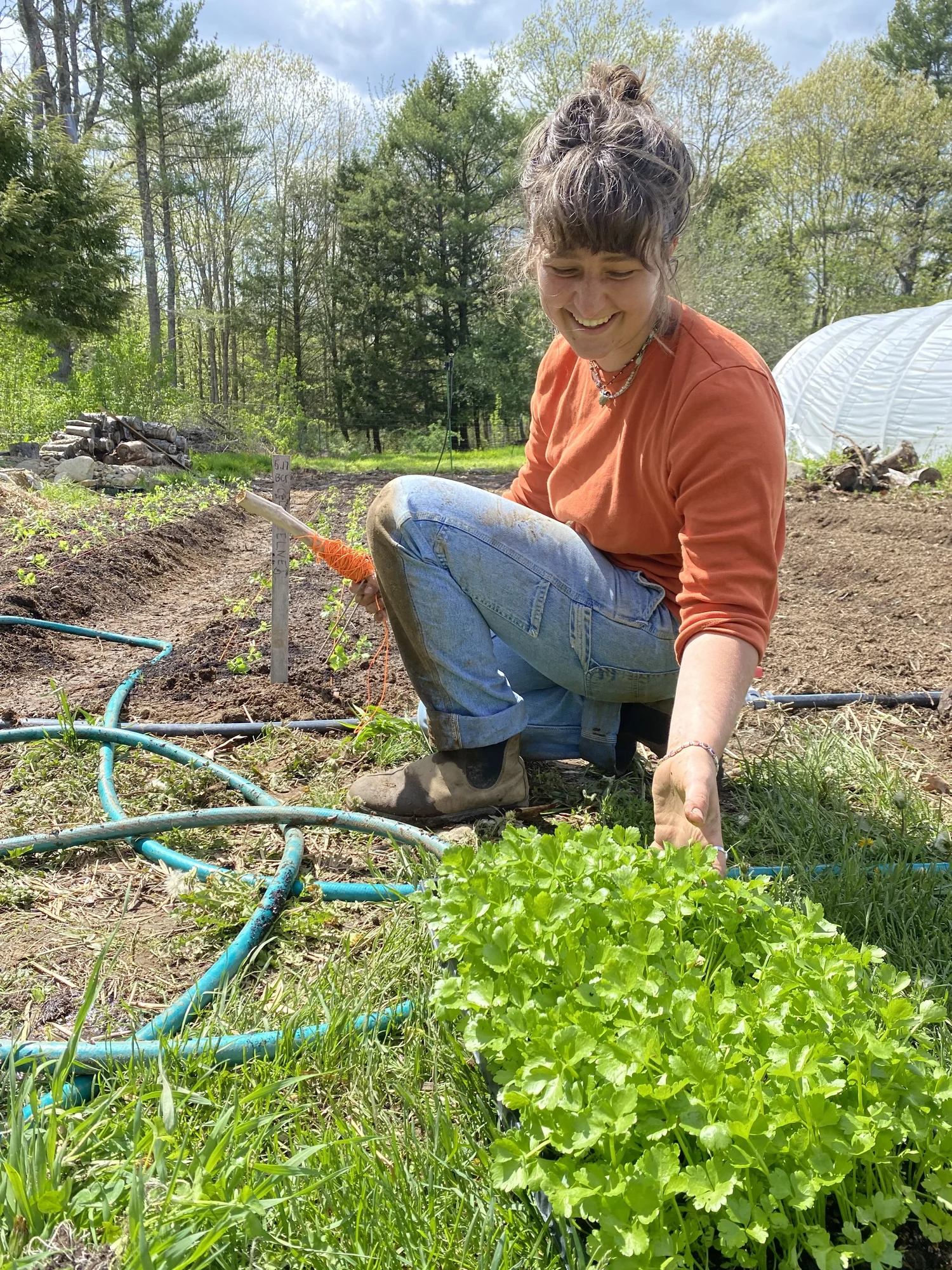 Stories — Veggies to Table