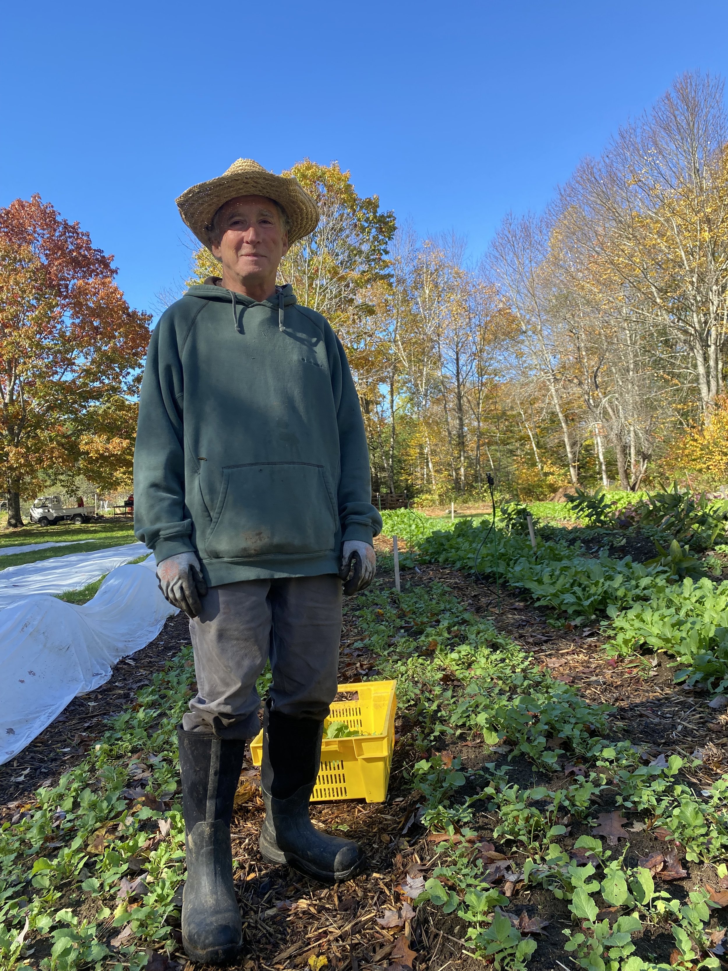 Stories — Veggies to Table