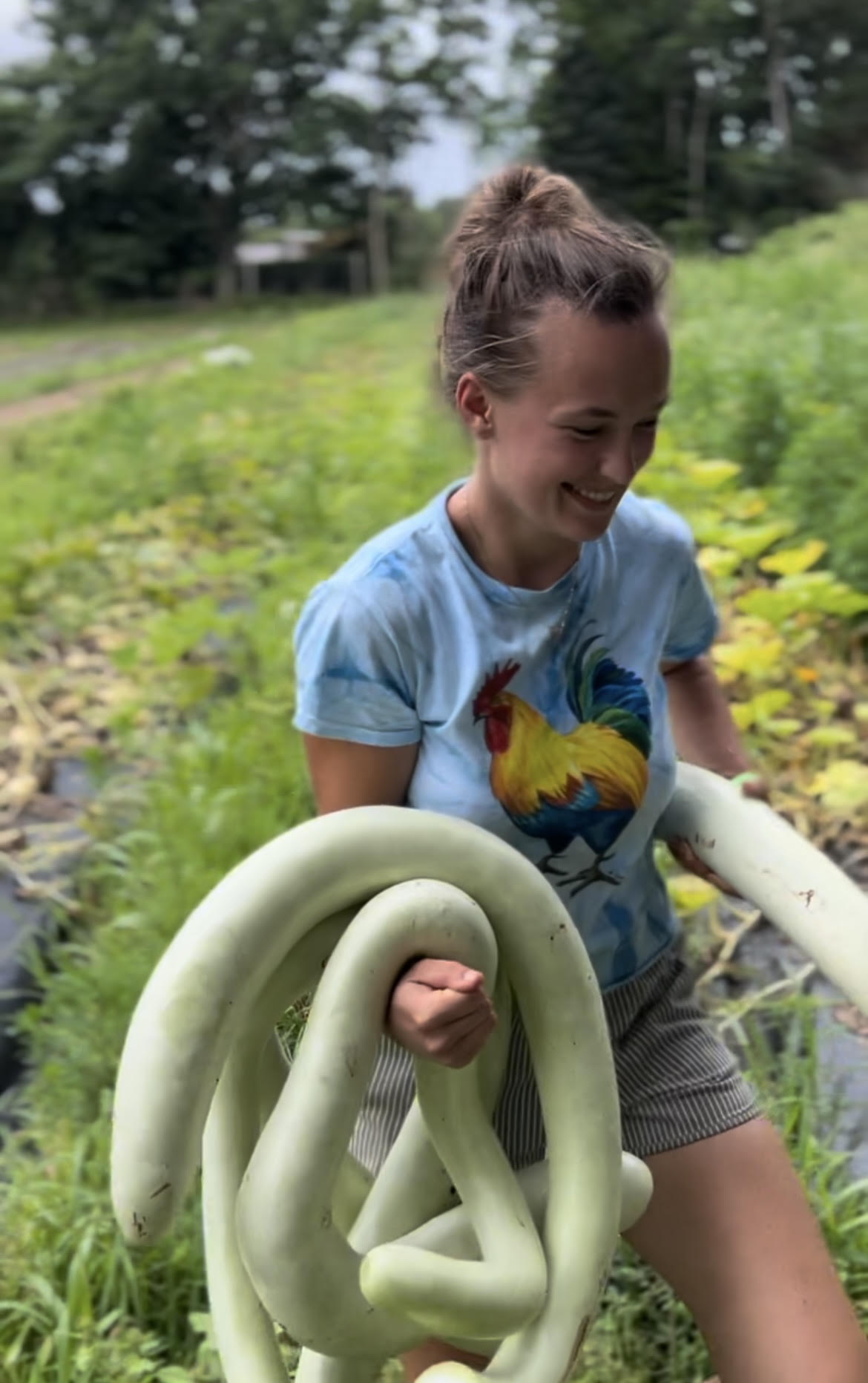 Crew — Veggies to Table