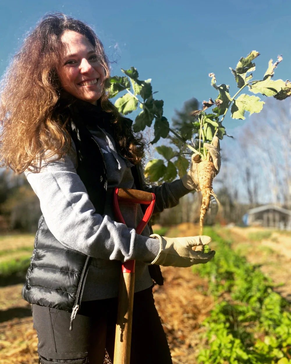 Stories — Veggies to Table