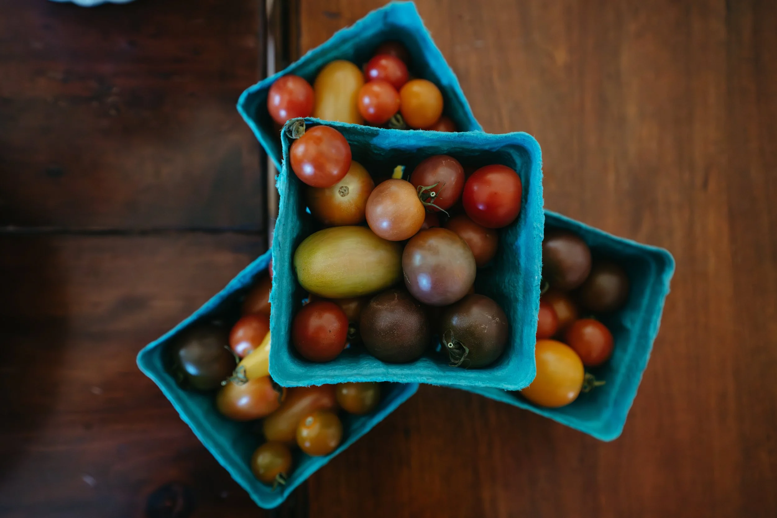 Appeal 2024 — Veggies to Table