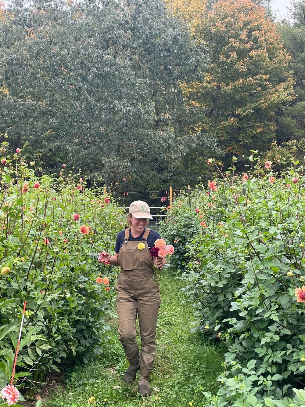 Crew — Veggies to Table