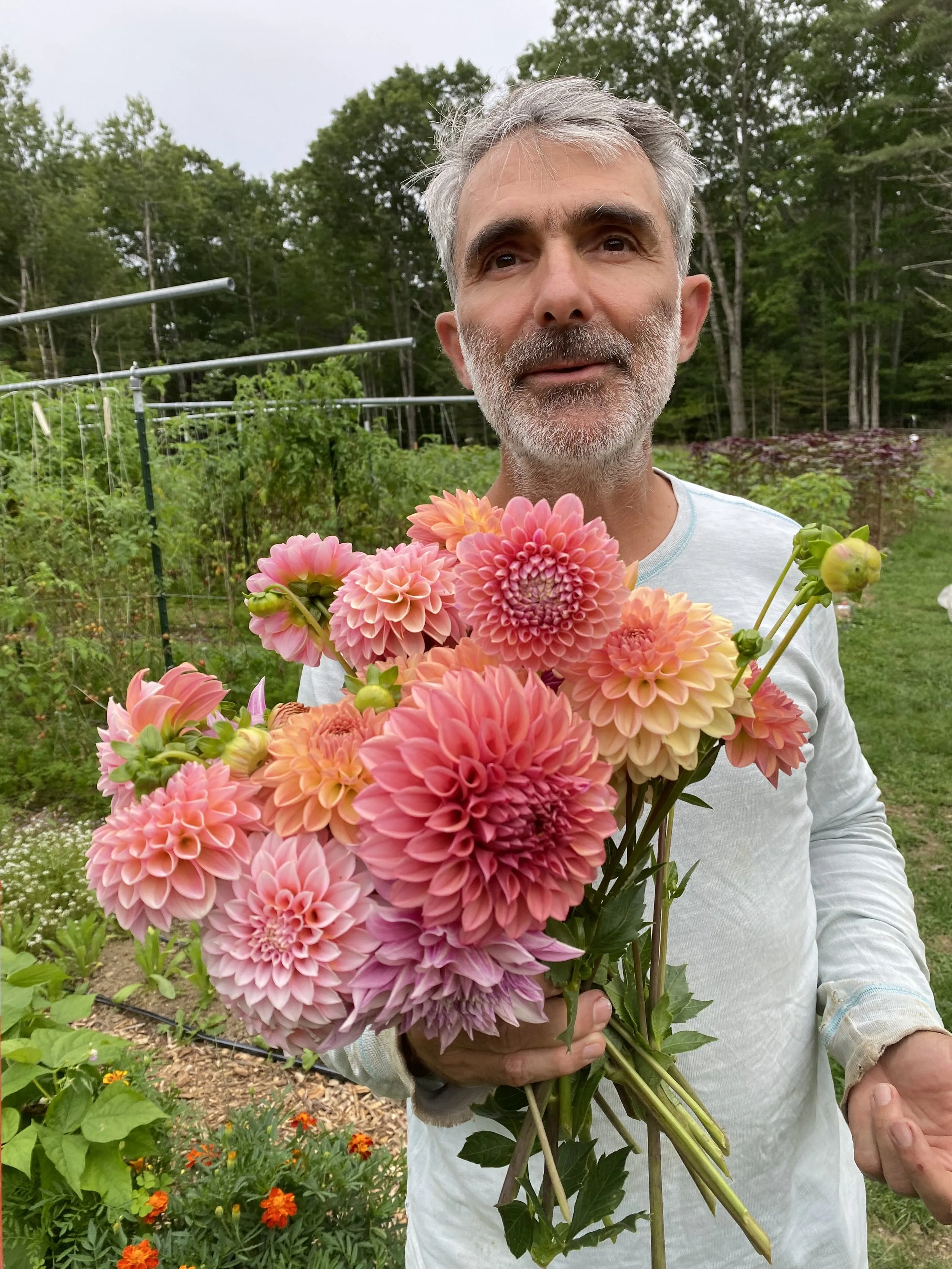 Team — Veggies to Table