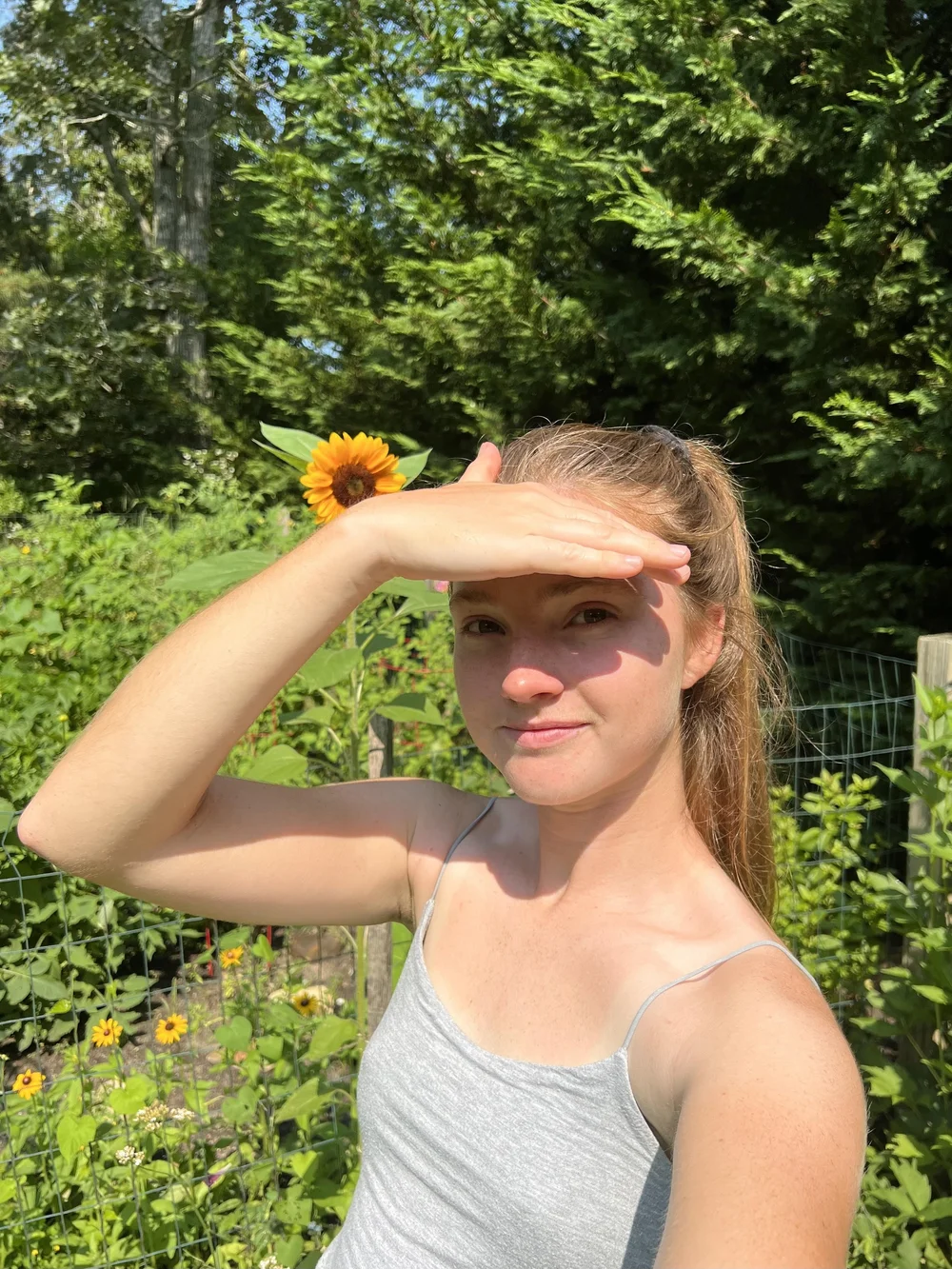 Crew — Veggies to Table