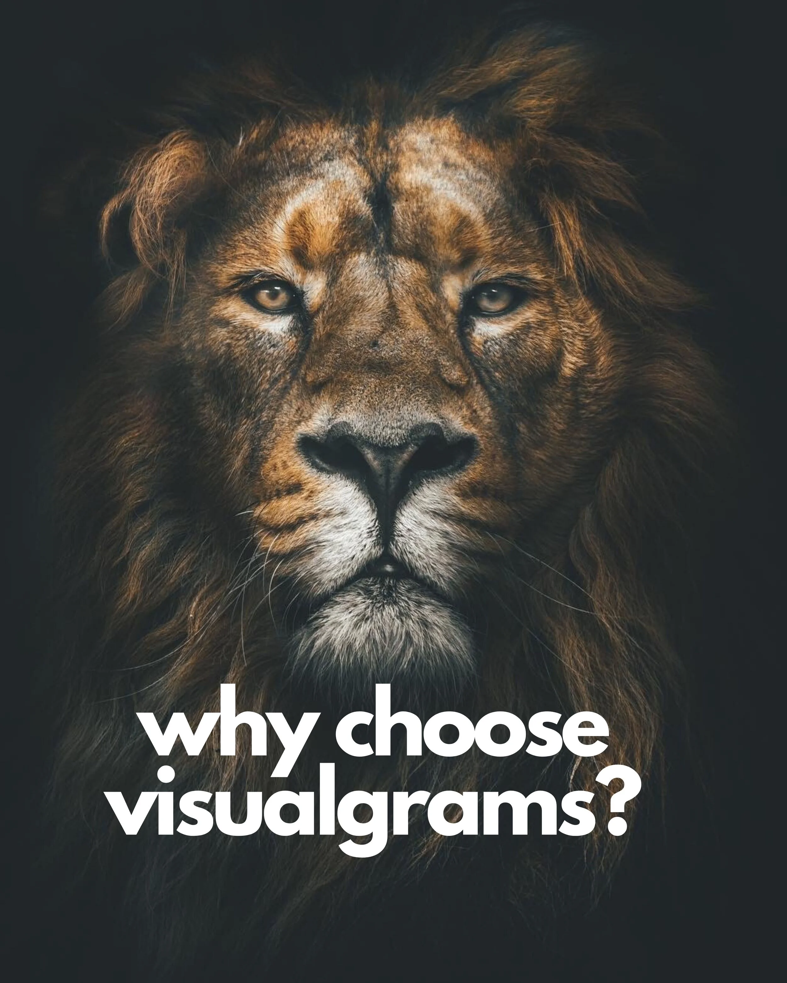 Visualgraal® | Premium Lightroom & Photoshop Presets