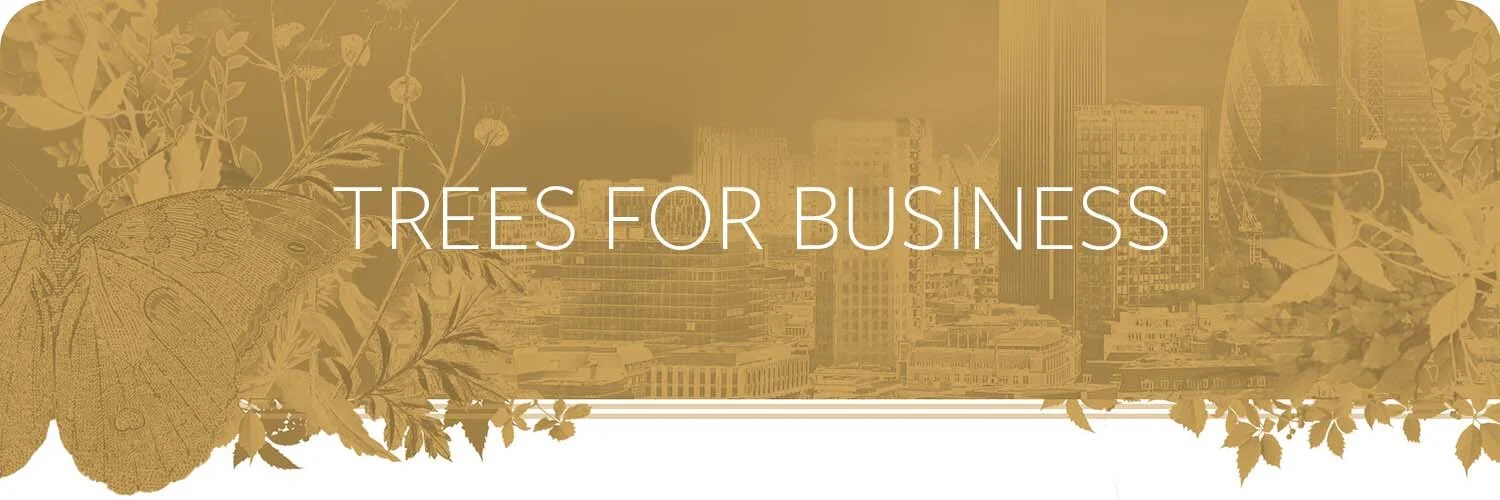 Plant trees with us today - 9Trees CIC