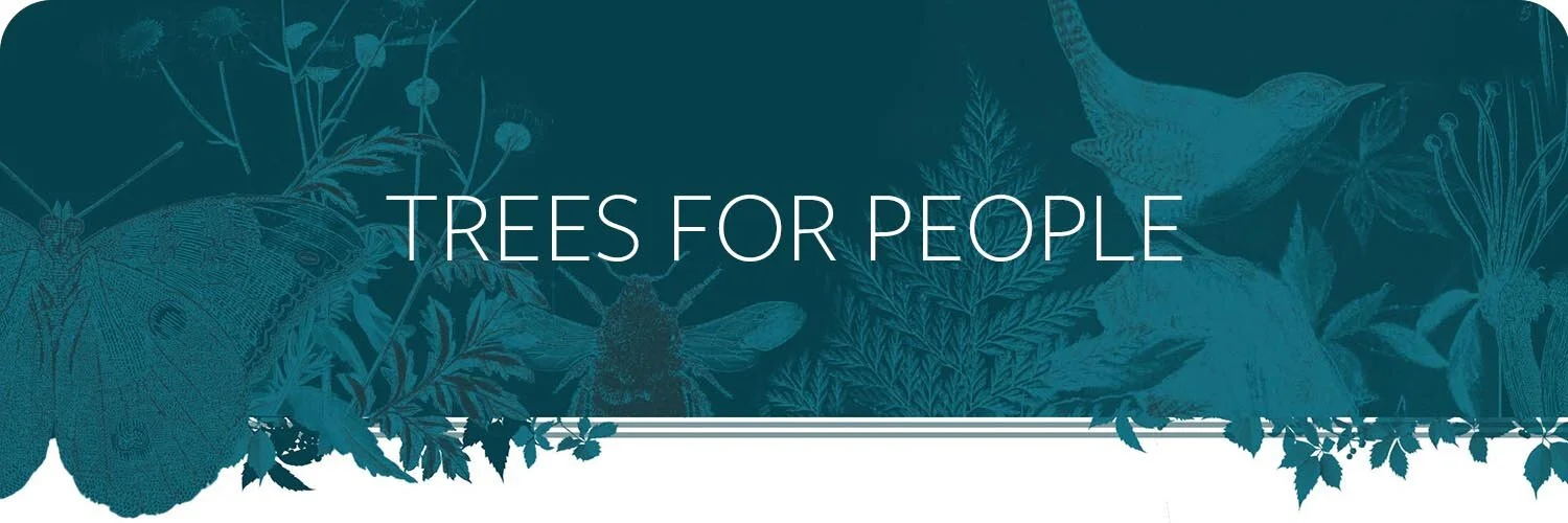 Plant trees with us today - 9Trees CIC