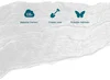 Carbon Balancing for Individuals, Businesses, and Landowners | 9Trees CIC