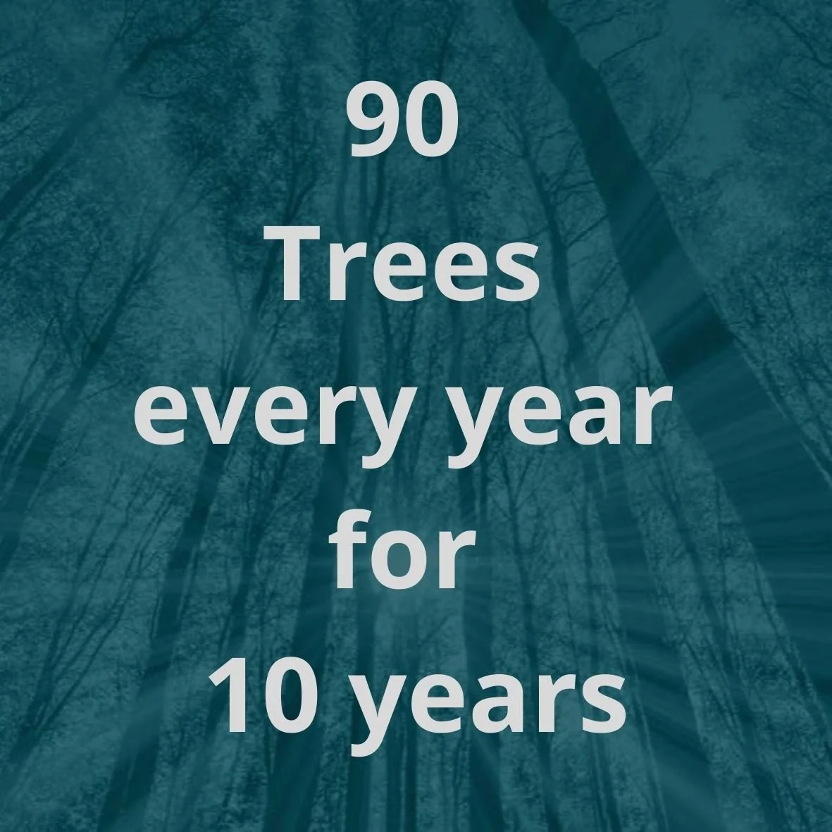 Plant 90 Trees Every Year — 9Trees CIC