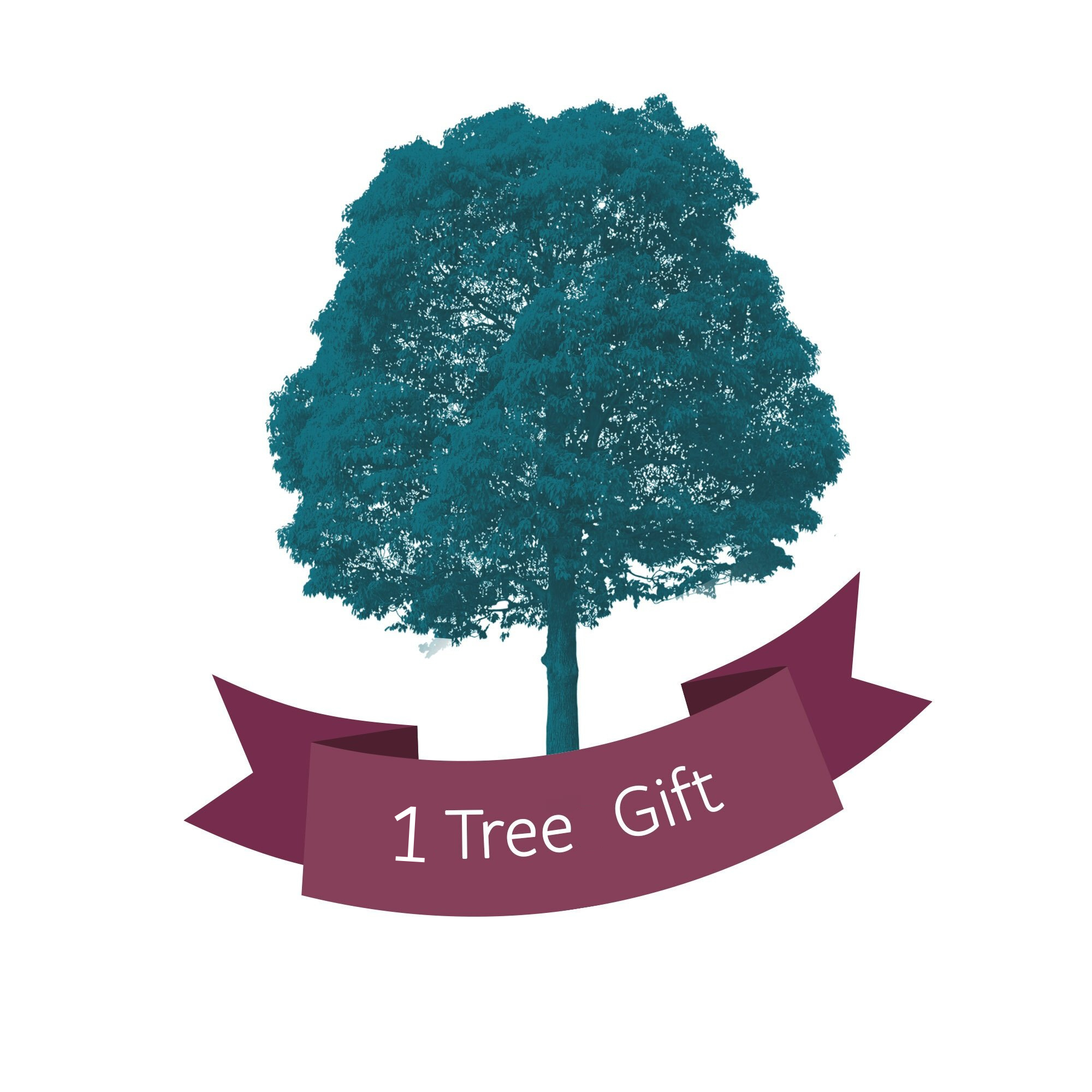 Give the Gift of 1 Tree — 9Trees CIC