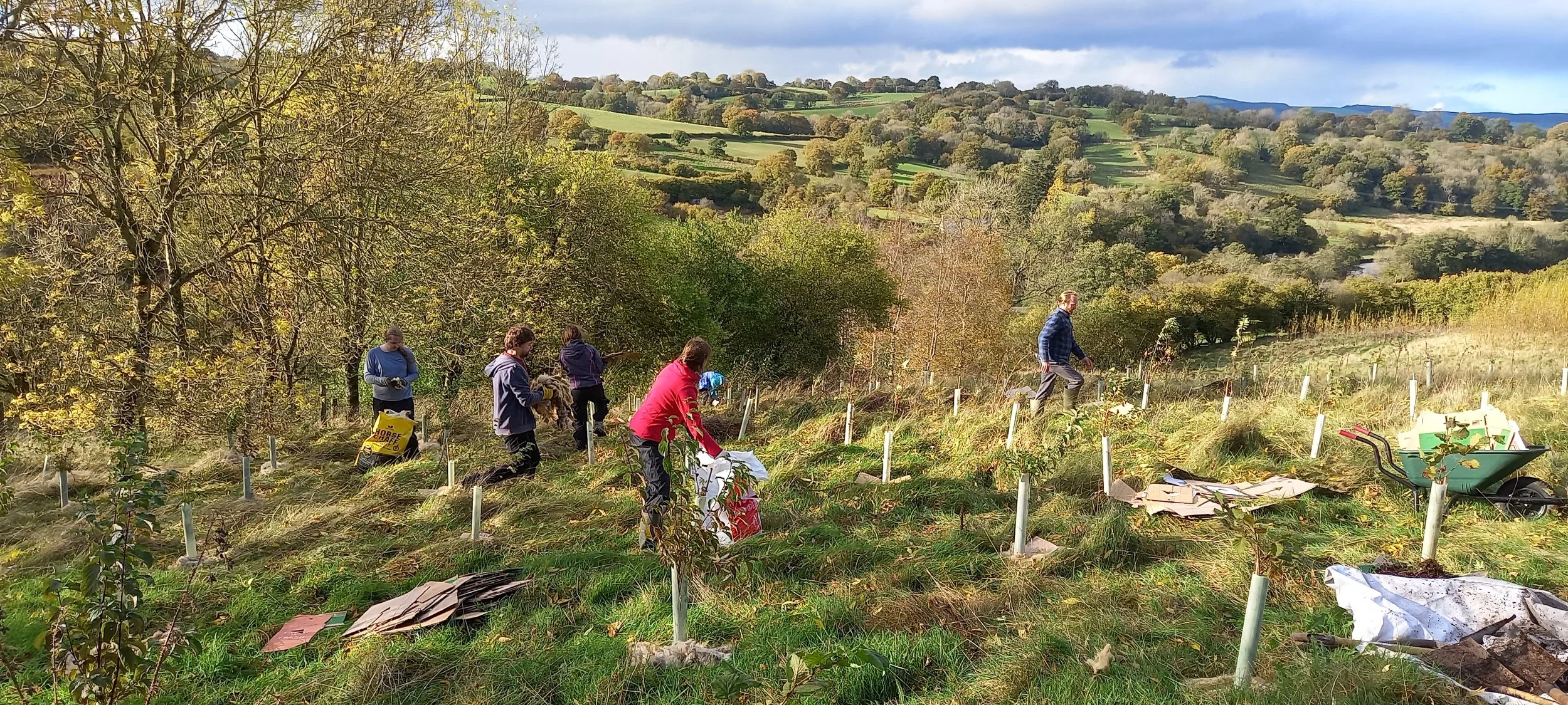 Eco matting - 9Trees CIC