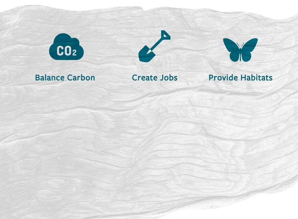 Carbon Balancing for Individuals, Businesses, and Landowners | 9Trees CIC