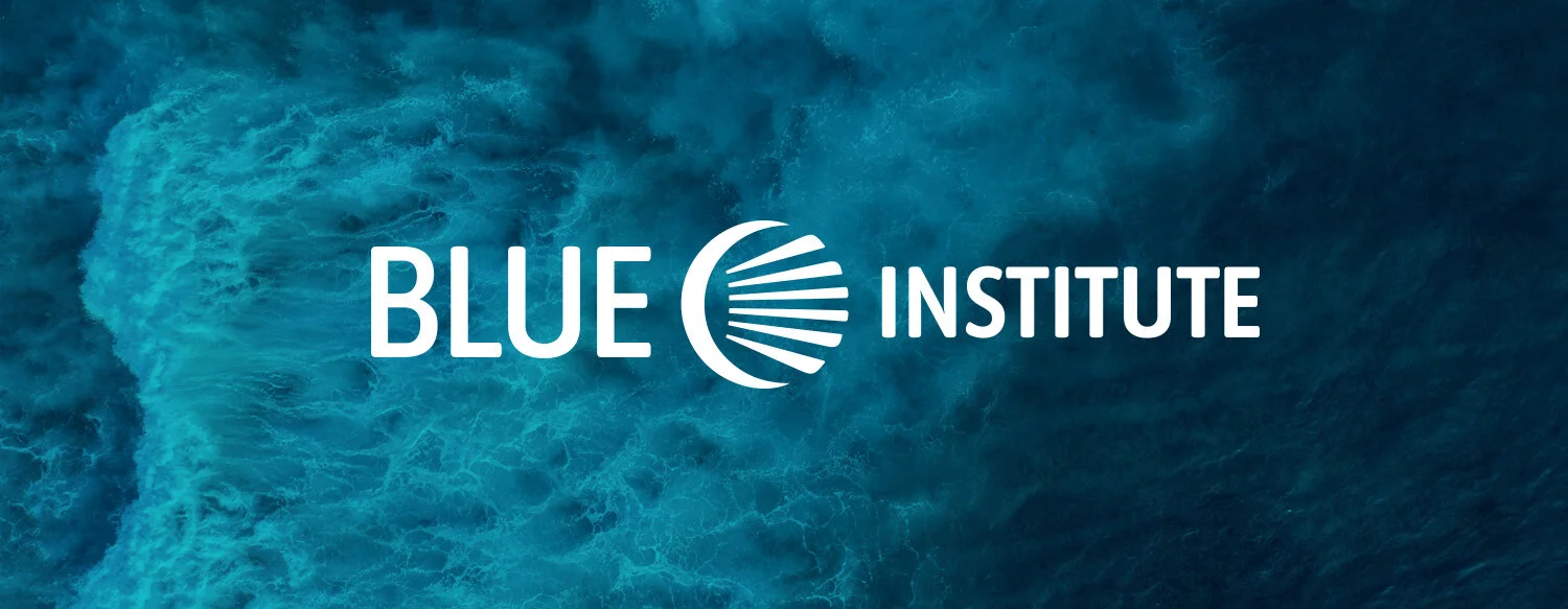 A new brand identity system for blue innovators and educators — Justin ...
