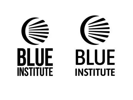 A new brand identity system for blue innovators and educators — Justin ...