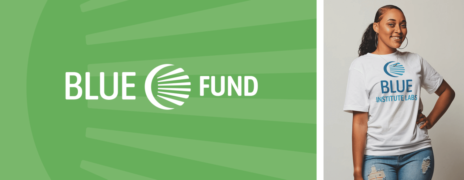 Unifying the tide: How BLUE Institute's rebrand anchored six sub-brands ...