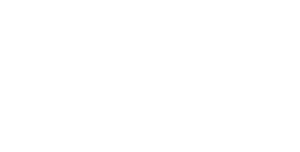 Marcas Pafisa — Distribuidora Fiesta Honduras