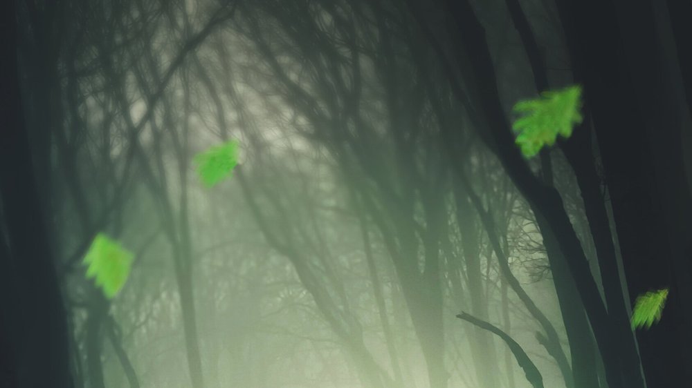 Books | Ash Tales