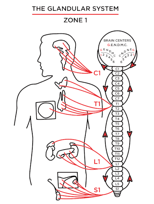 Zone Technique — Conscious Living Physical Therapy