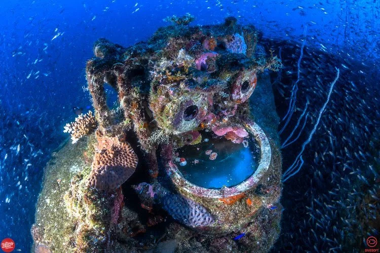 Bikini Atoll August 2024 Trip Report🇲🇭 — The Dirty Dozen Expeditions