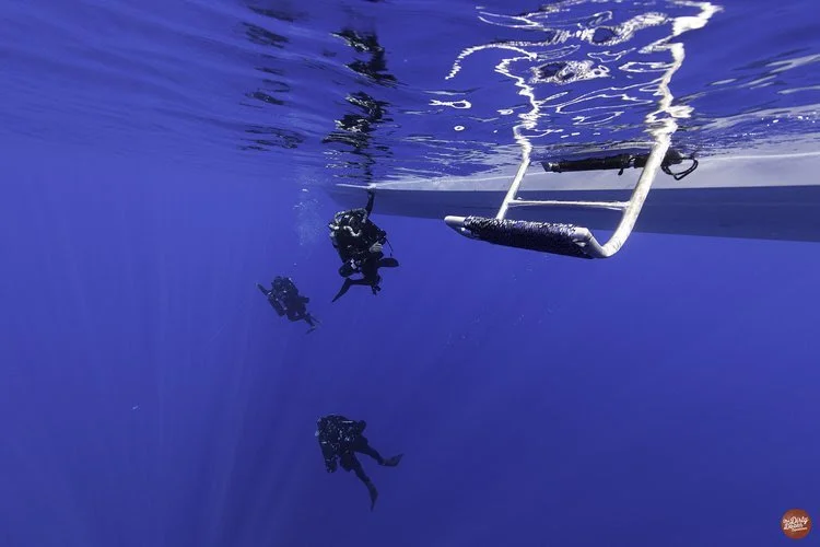 🪖USS Perry DD-340 - 100 YEARS LATER — The Dirty Dozen Expeditions