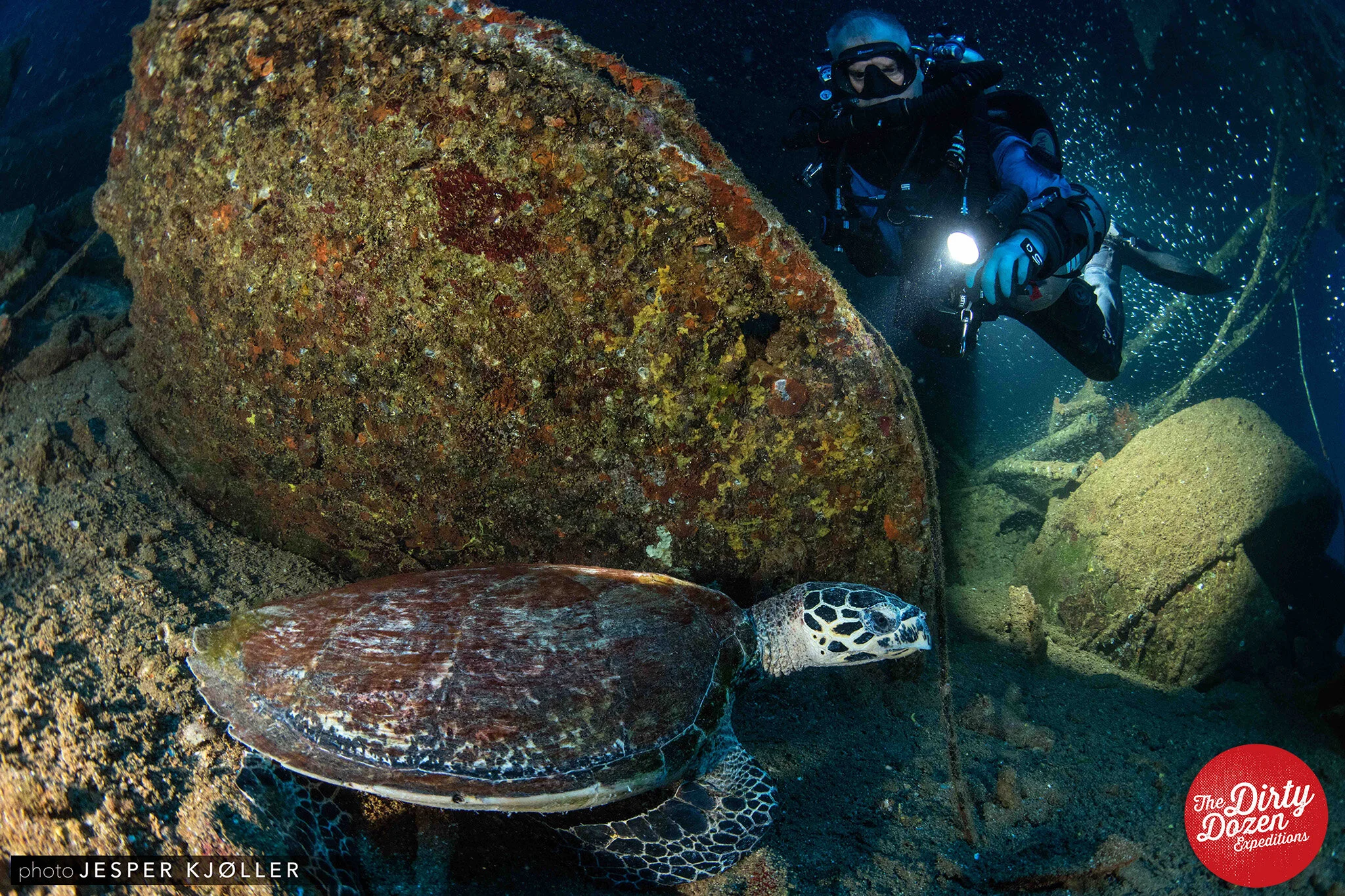 📇 A WRECK IN DEPTH - IJN NAGATO — The Dirty Dozen Expeditions