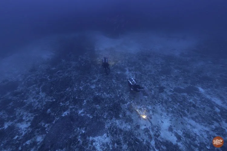 🪖USS Perry DD-340 - 100 YEARS LATER — The Dirty Dozen Expeditions