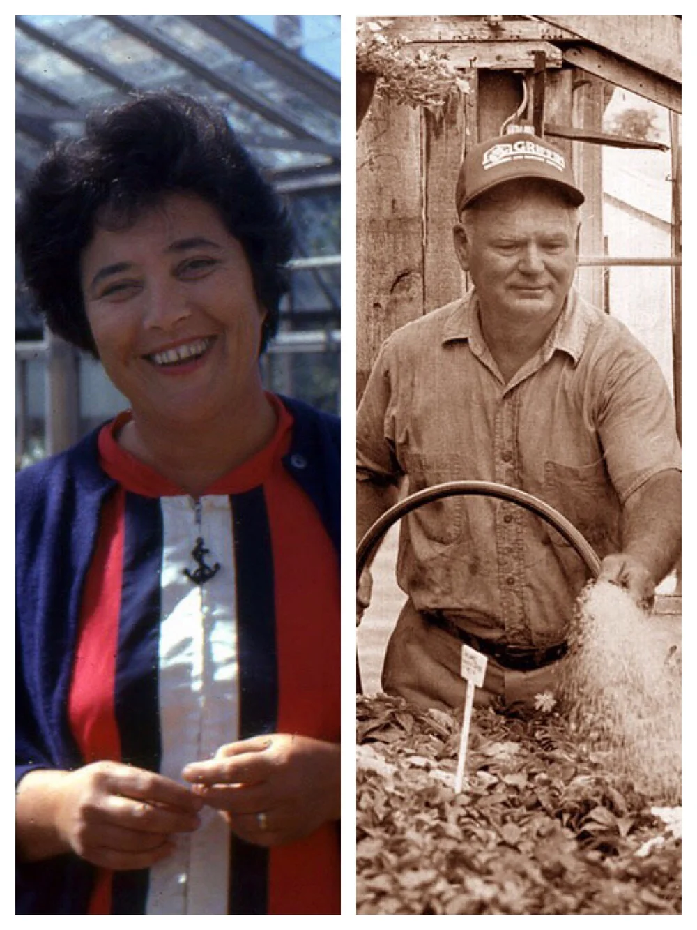 Who We Are — Peckham's Greenhouse