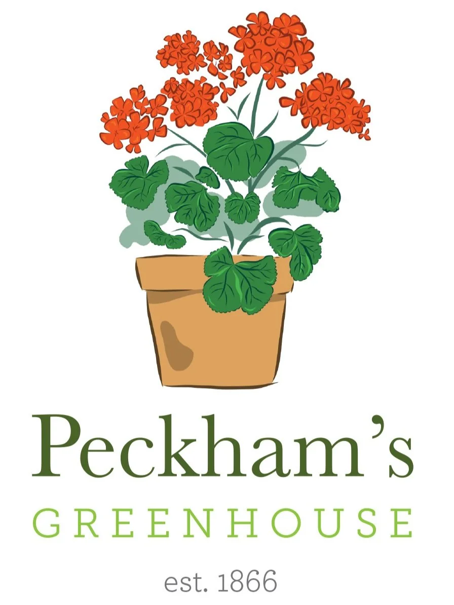 Peckham's Greenhouse