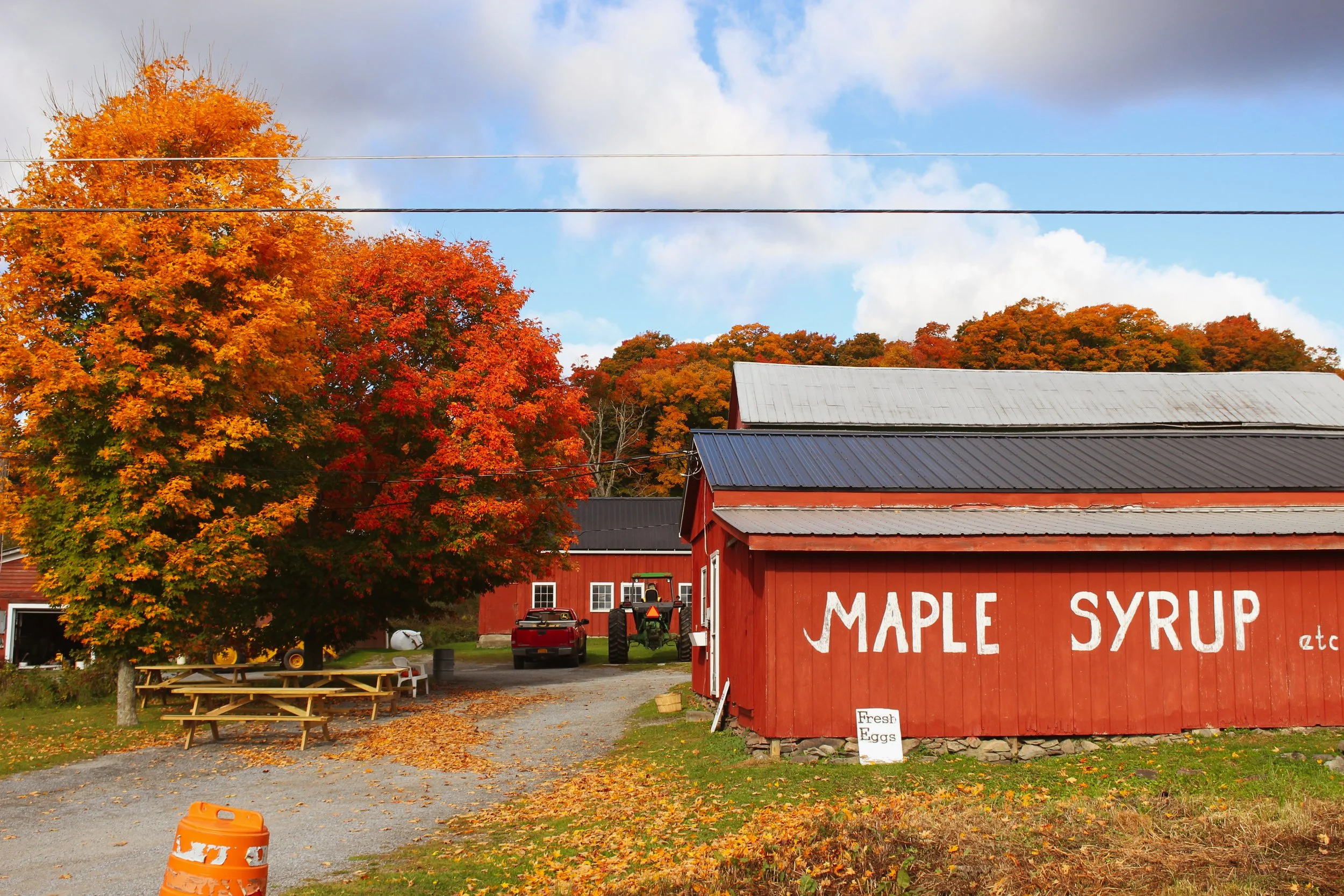 Shop — Buck Hill Farm