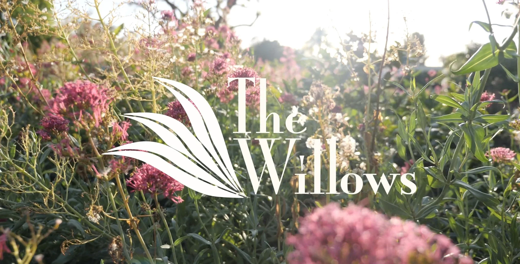 The Willows Community