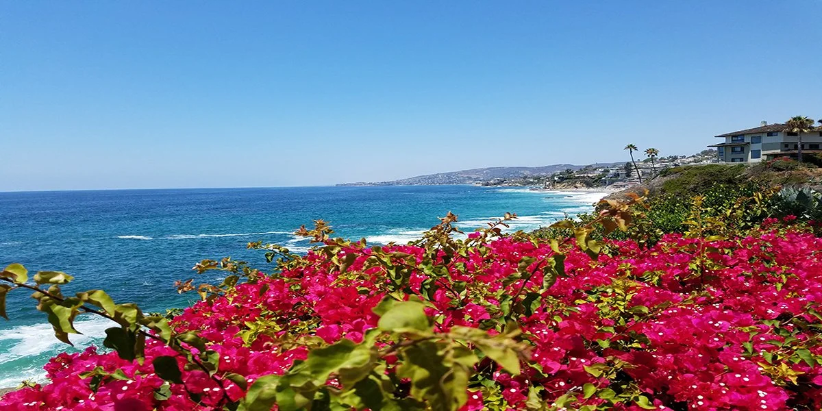 The Willows Community