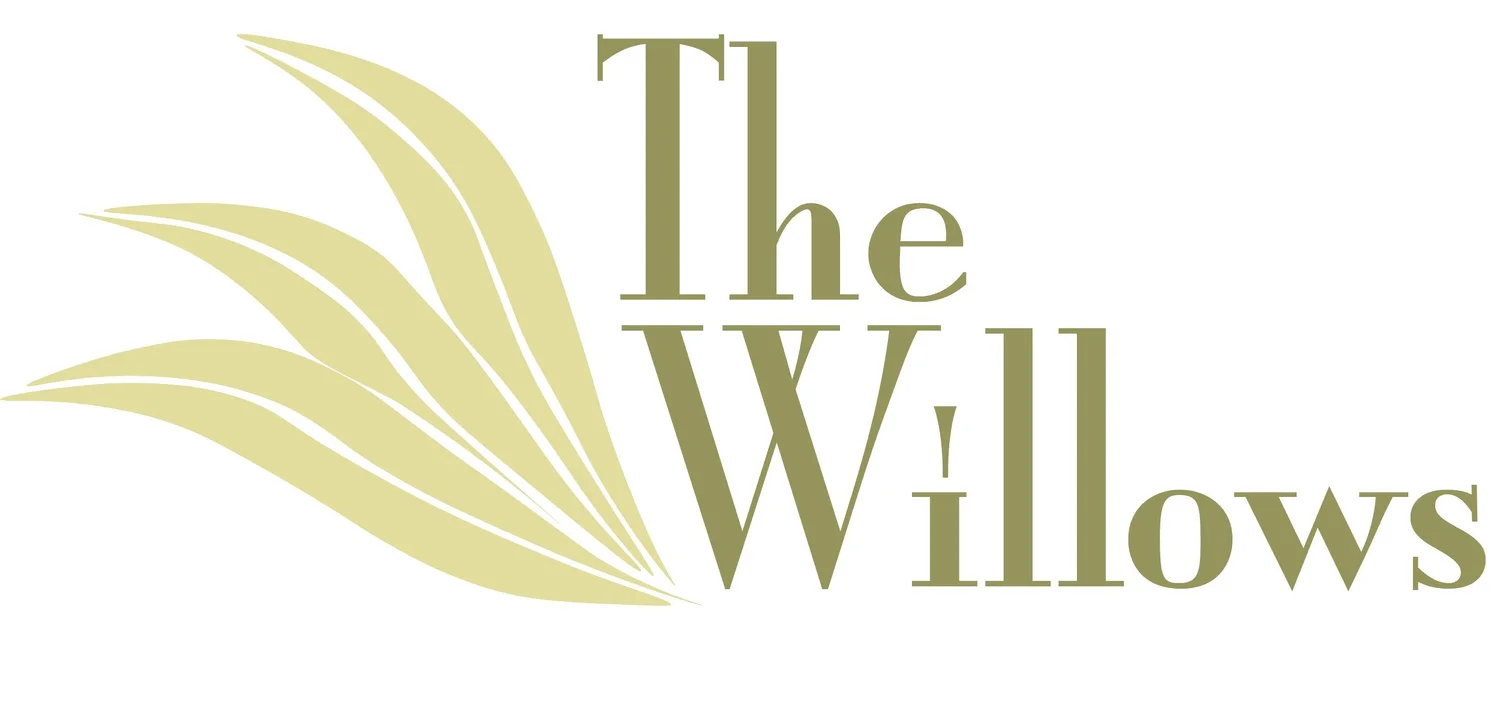 July 2024 Newsletter - Assessing our needs and planning for future ...