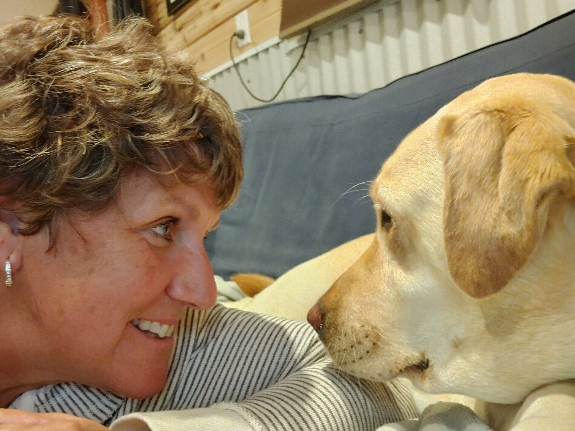 About — Canine Nanny, Chelan/Manson