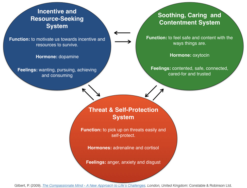 Anxiety and Anger- The Three Circles View. — Therapy Huddersfield