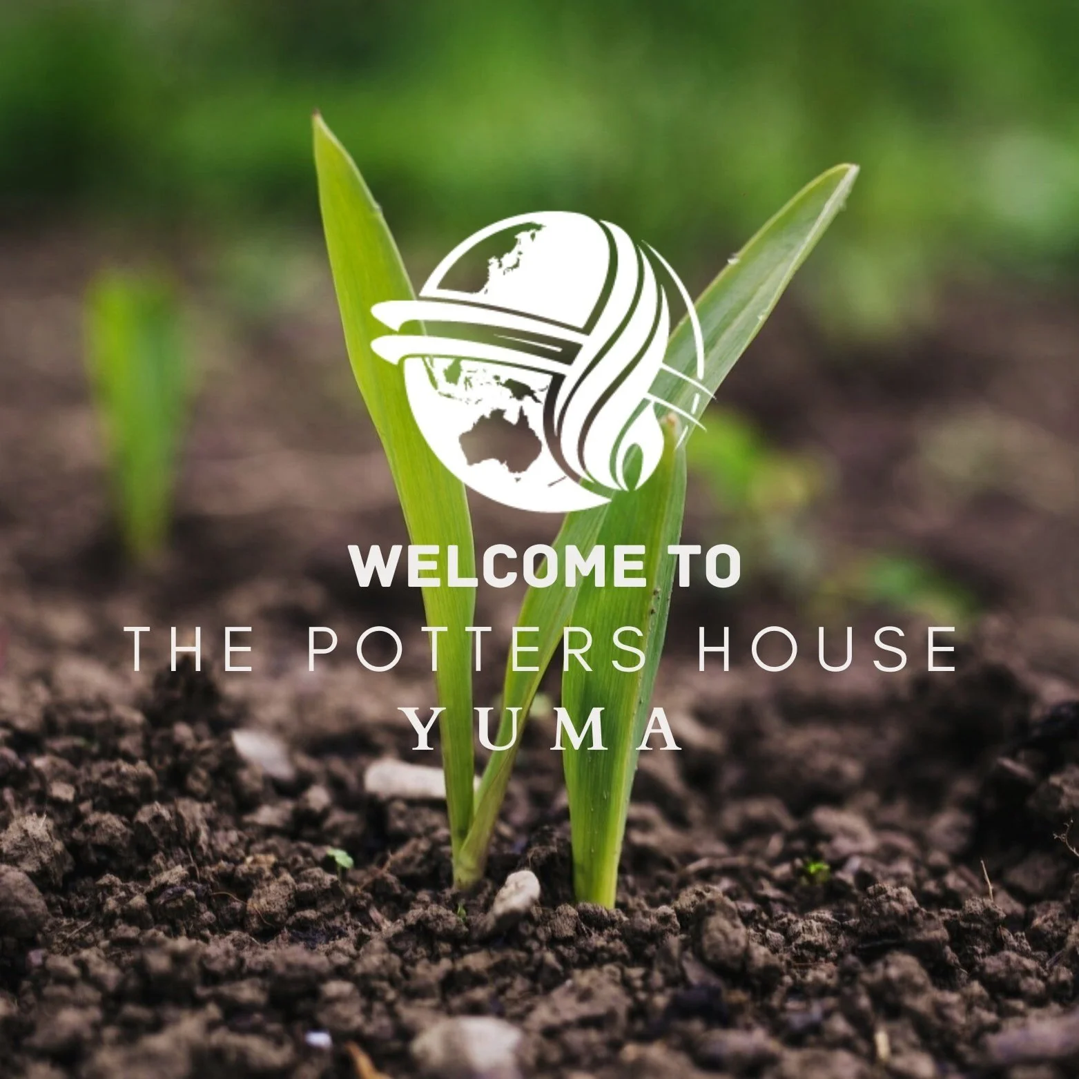 Yuma Potter S House