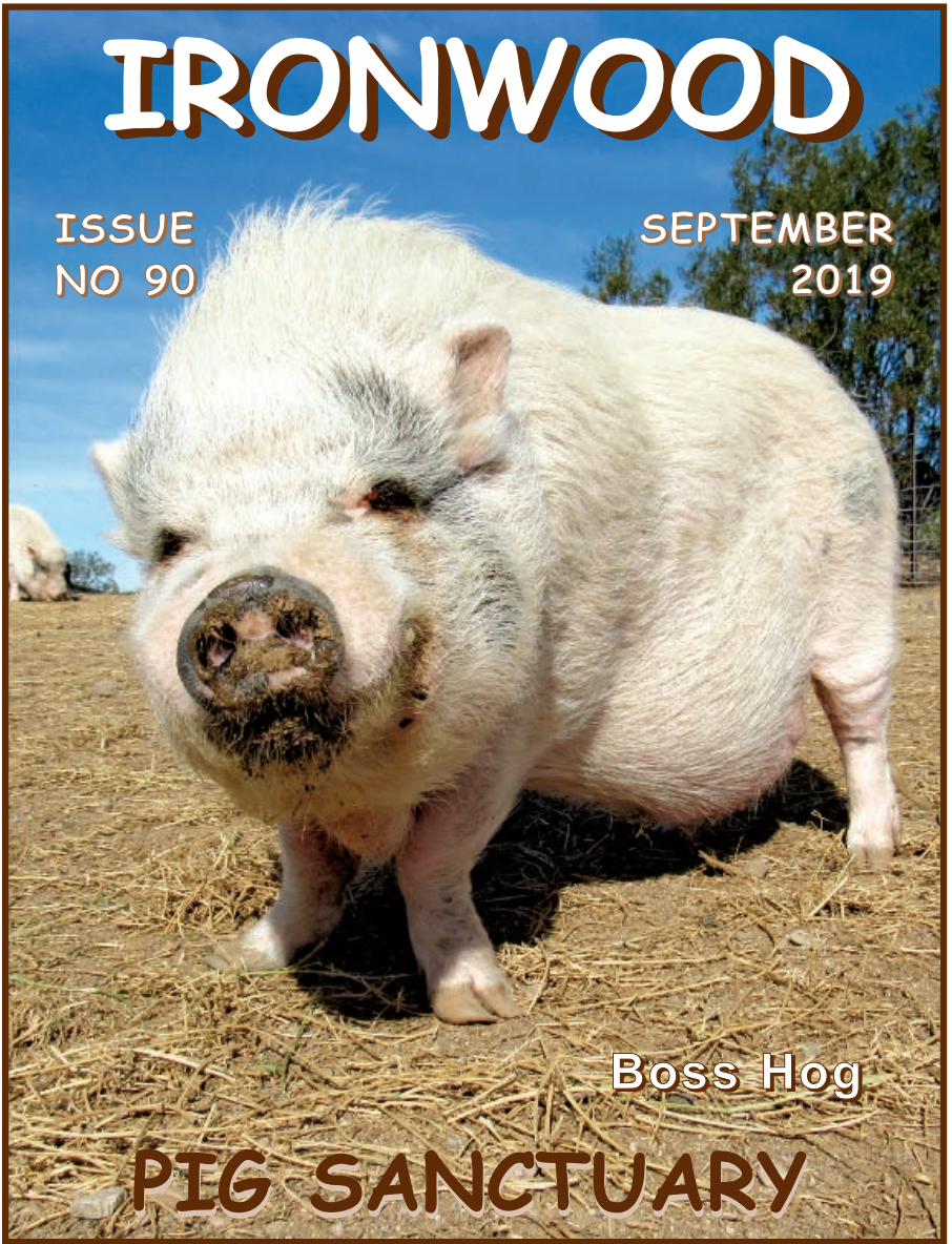 Ironwood Pig Sanctuary