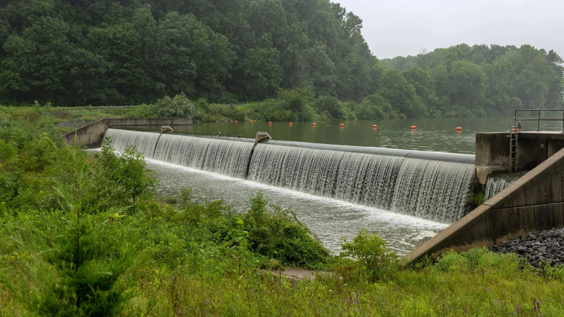 Natural Flood Management: Exploring the Investment Case — Accelar Limited