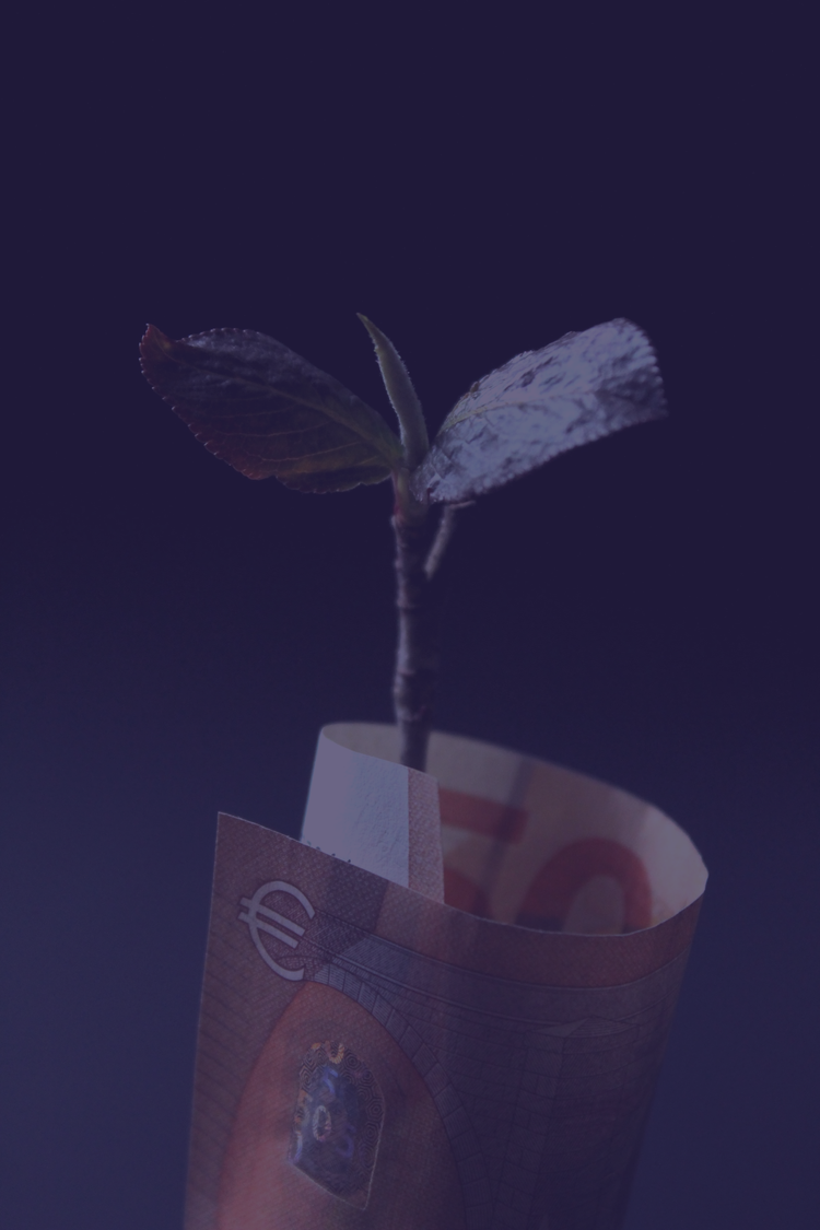 Green finance | Drive Sustainable Growth - Get Started Today — Accelar ...