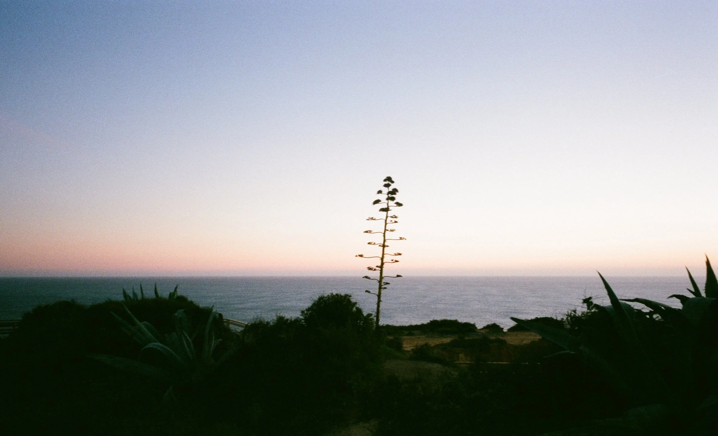 Tumblr Photography Inspiration