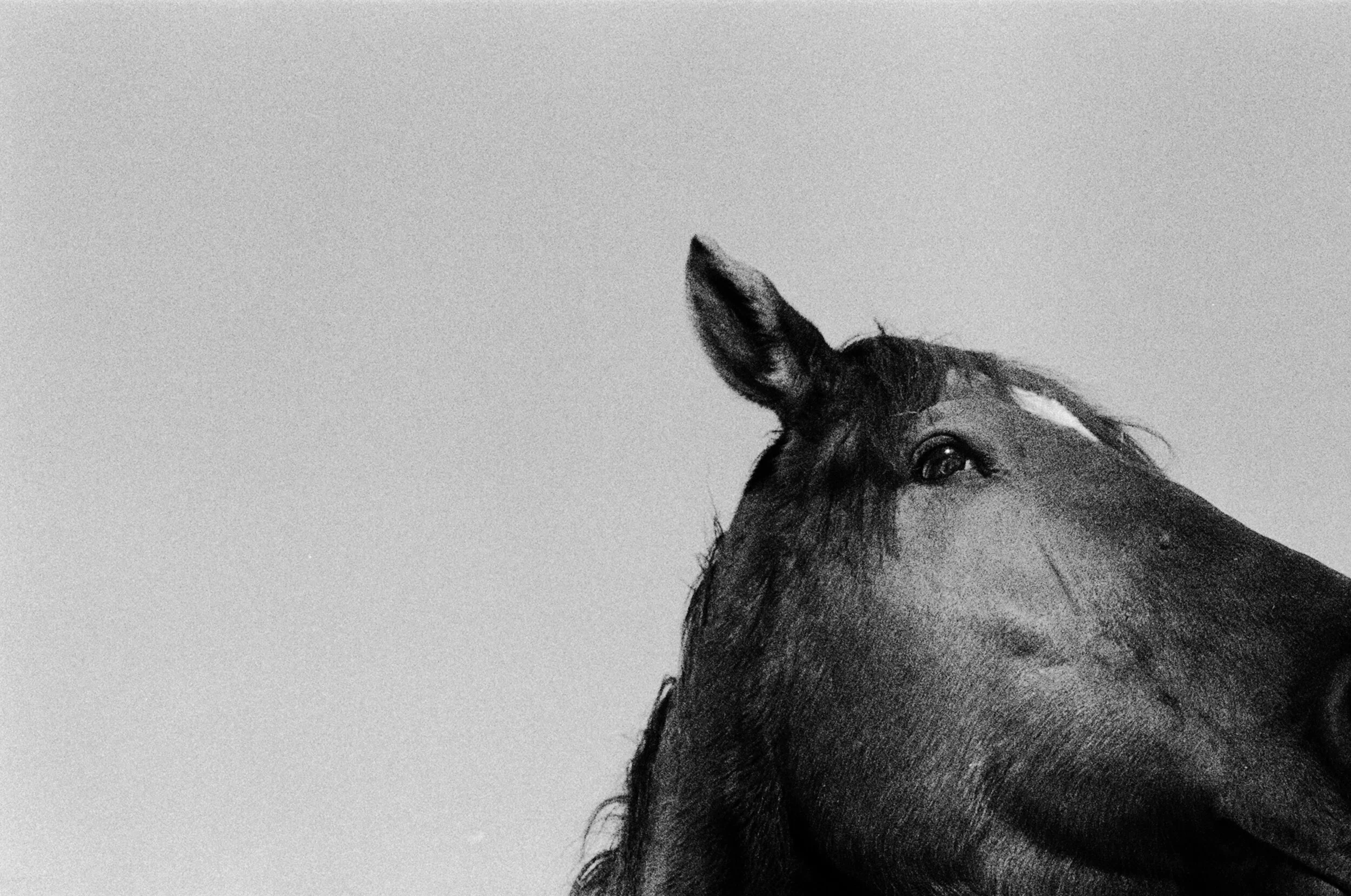 Max Roeg Interview