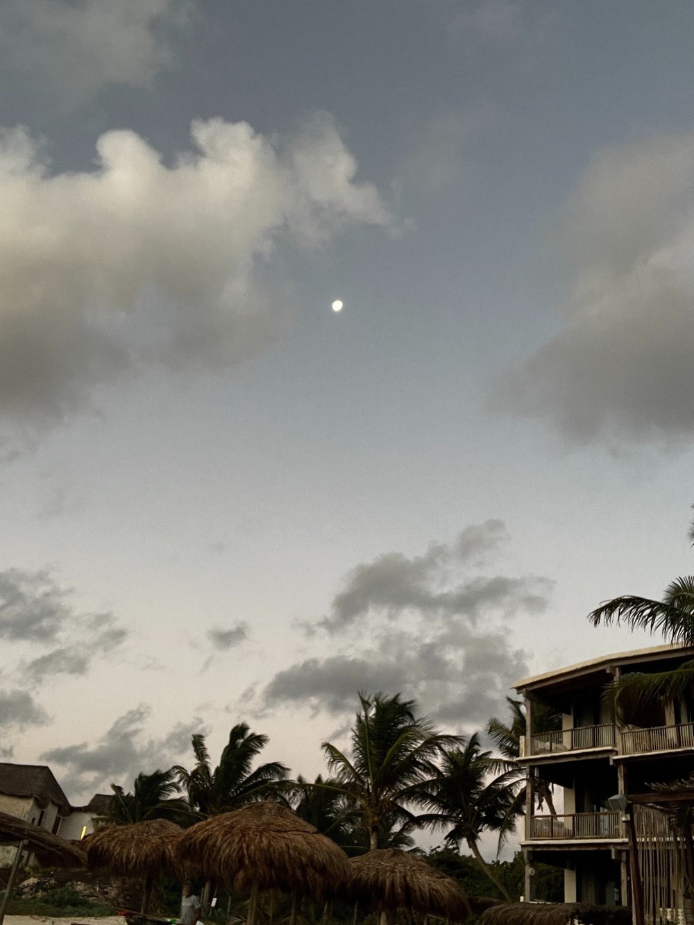 Tulum Retreat 2027 | Reserve Your Spot Now — The Space