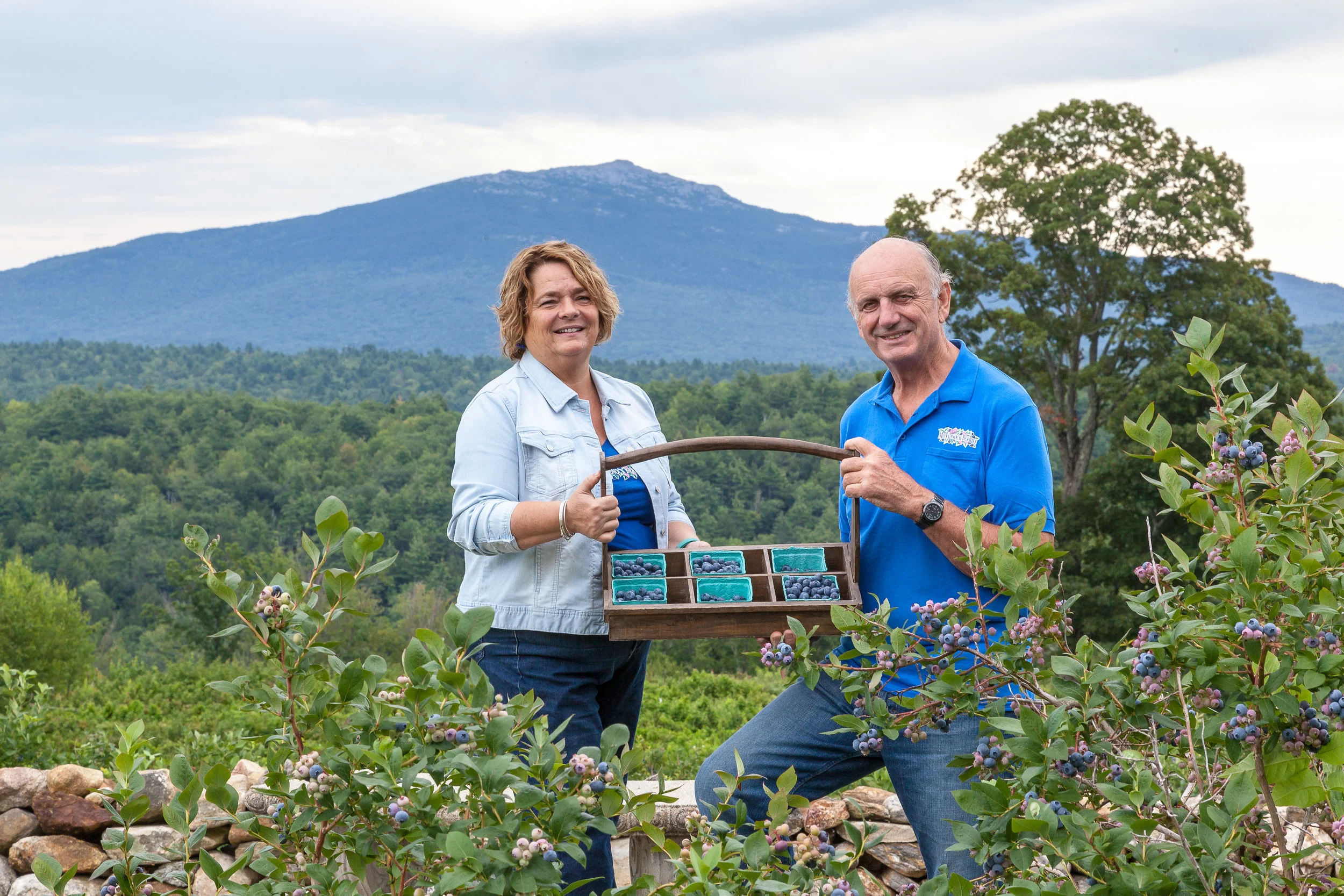 About — Monadnock Berries