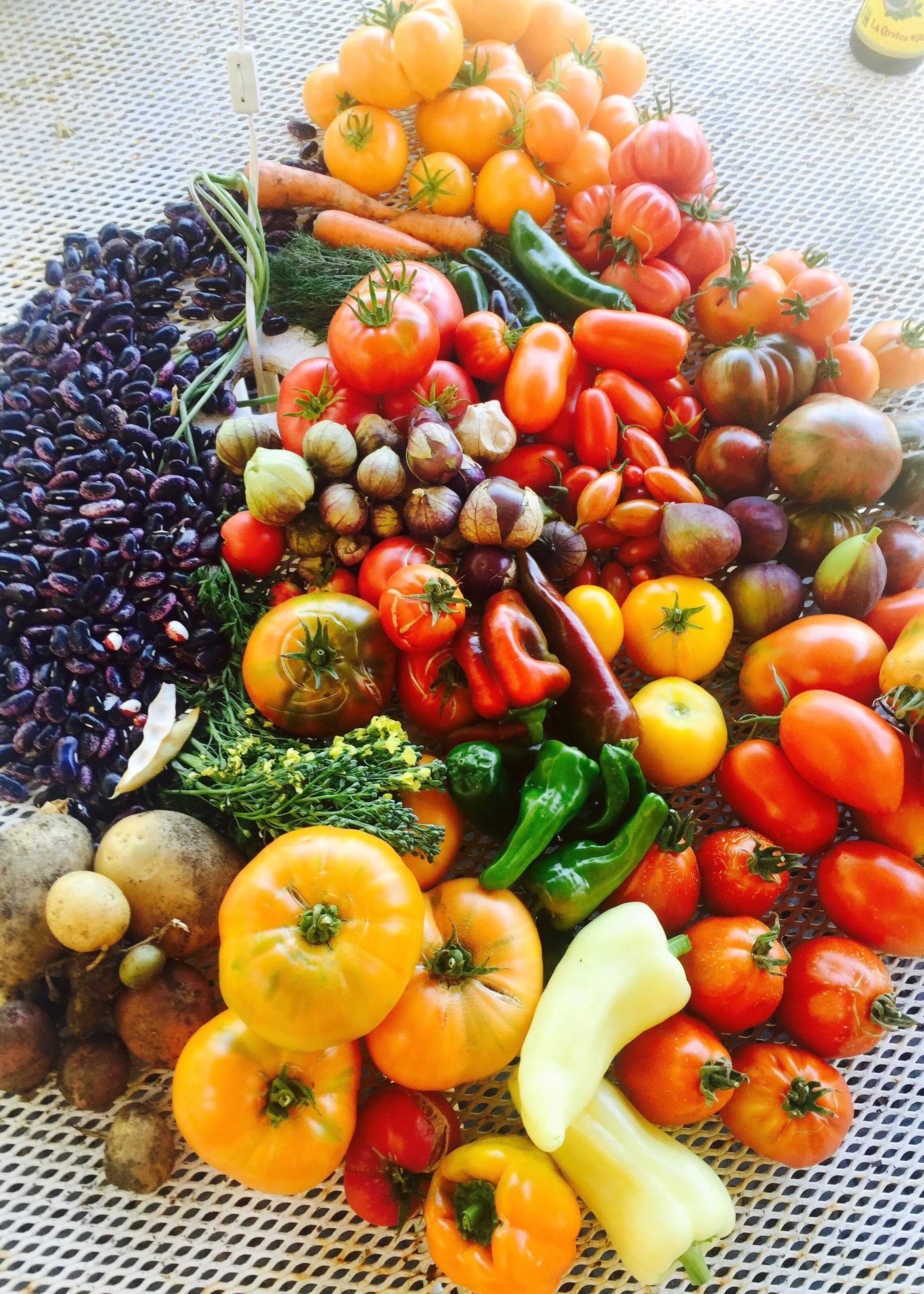 PINOLI FARMHOUSE KITCHEN